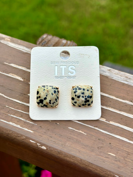 Speckled Stone – The Cactus Pearl